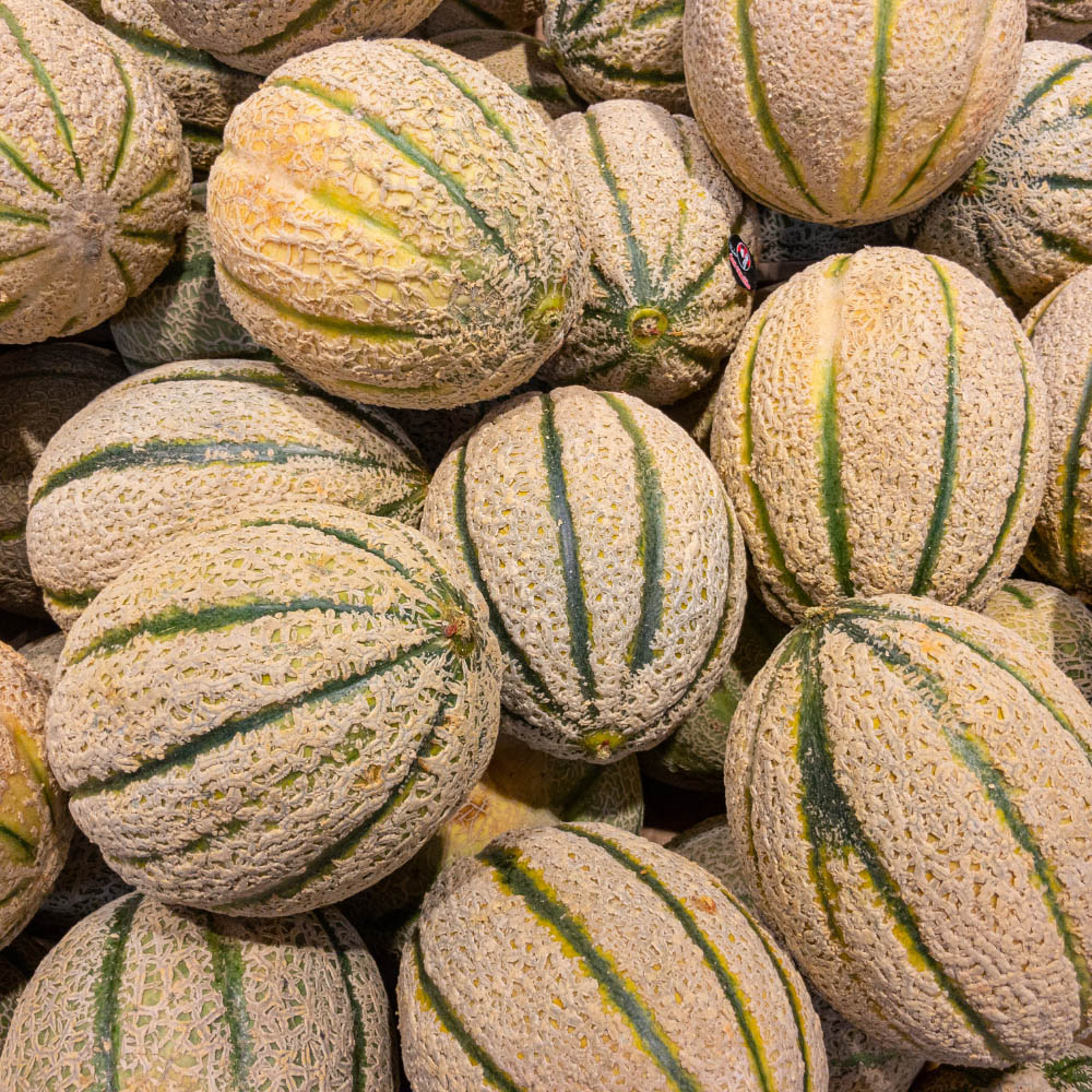 Melons Sourced from Top Suppliers