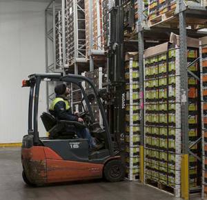 Careers at FerryFast - Come and Work for us